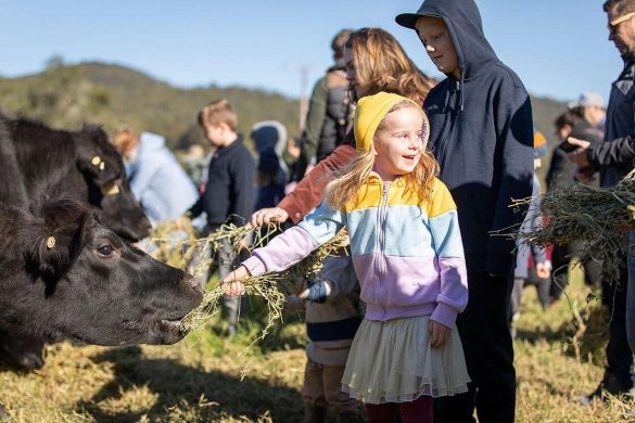 The farm gates open for Harvest Festival 2022 - On The Coast Families